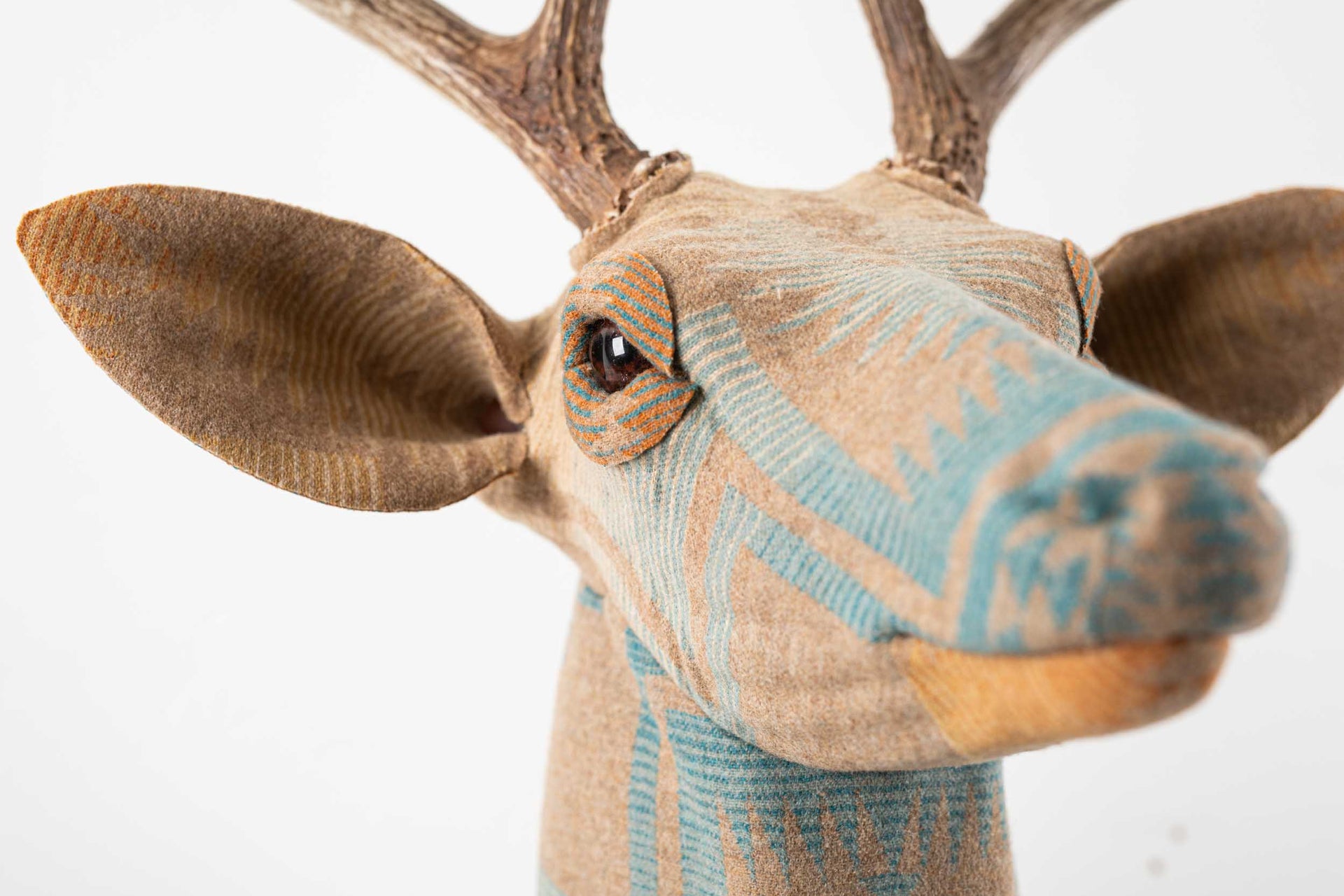 The Curated Collection - Faraway Lovely Custom Modern Taxidermy